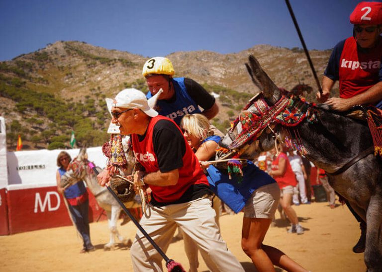 Donkey Polo in Marrakech | Marrakech Excursions